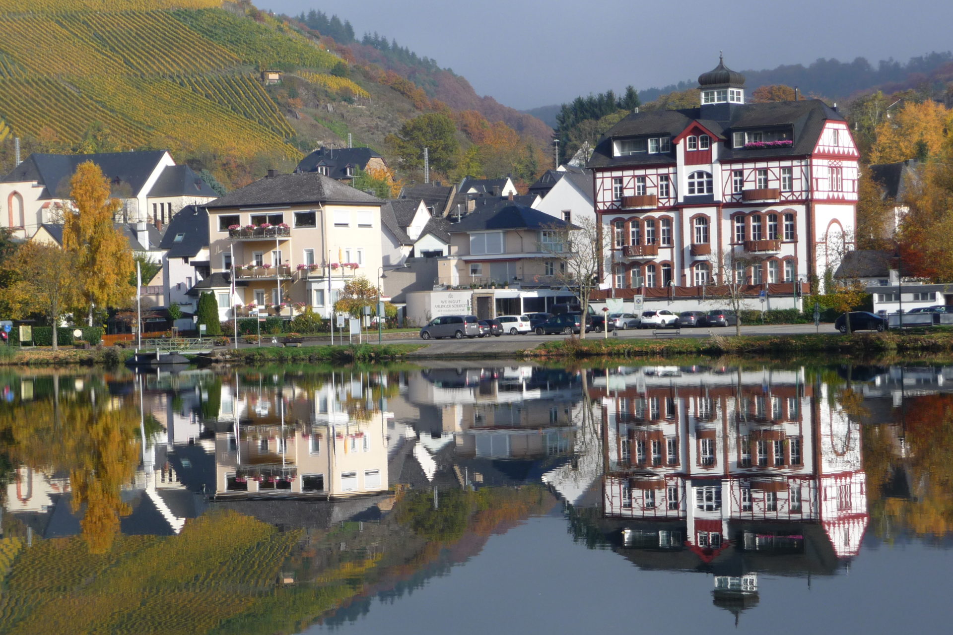 Ein zufriedener Mosel-Urlauber - Bullay - Das Tor zur Mittelmosel